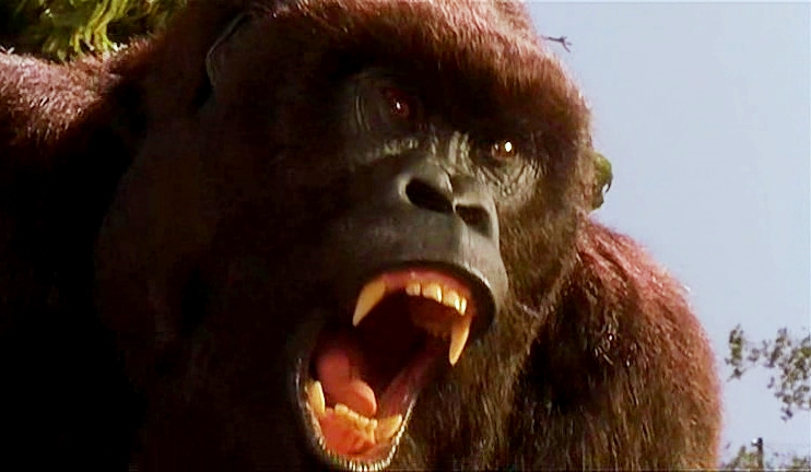 Started By A Condor: Mighty Joe Young