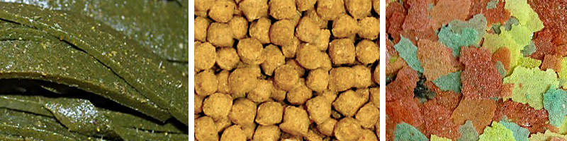 HIGH RANCHU: RANCHU FOOD - SOFT VS. HARD VS. FLAKY