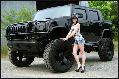Hummers Online: One Picture is Worth 1000 Words