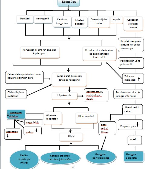 Dunia Keperawatan: Askep Edema Paru