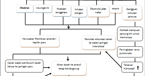 Dunia Keperawatan: Askep Edema Paru