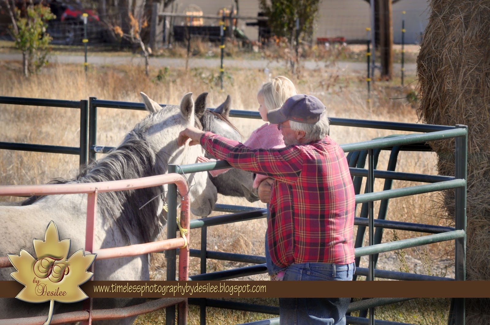 Timeless Photography By Desilee