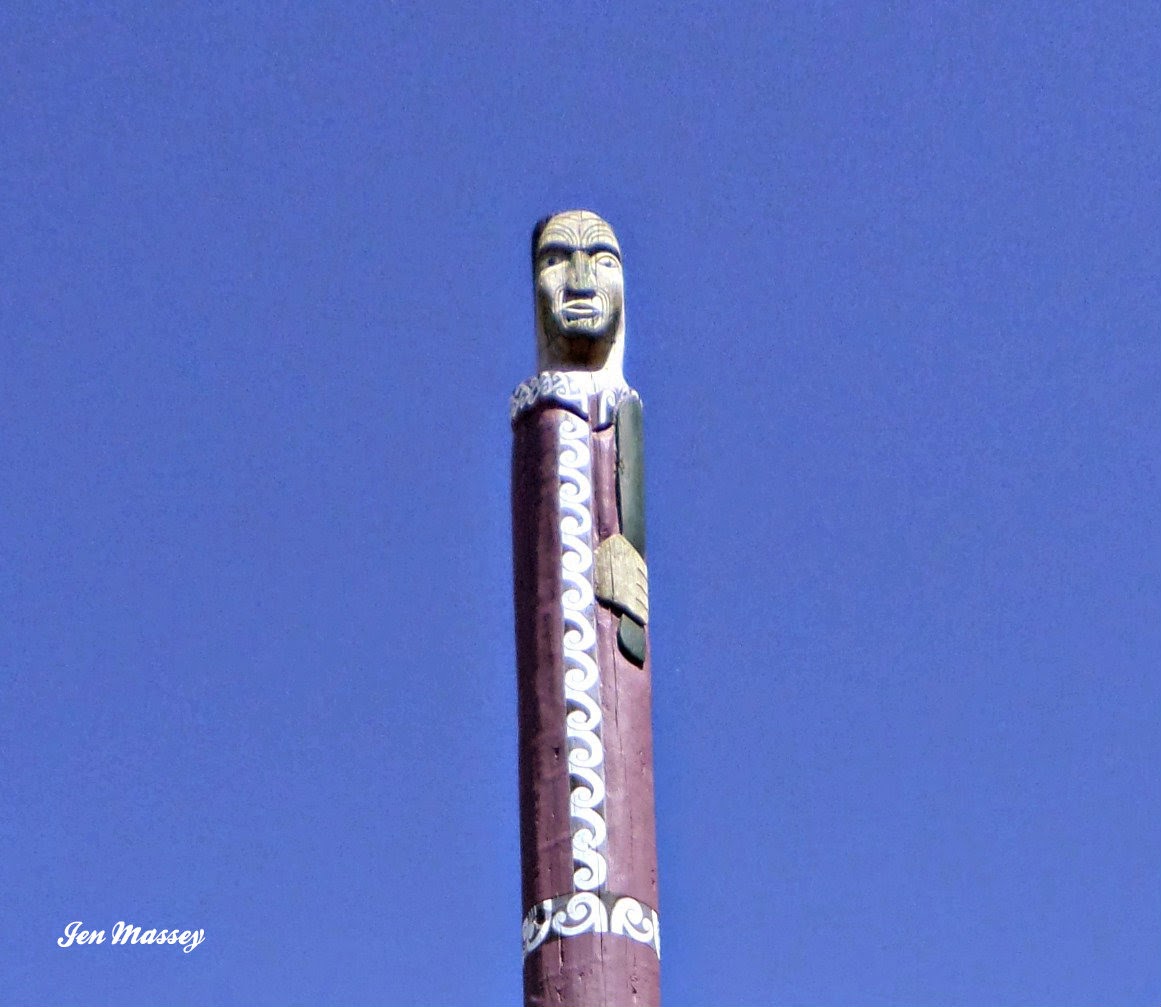 Napier Daily Photo: Tareha Recreation Reserve