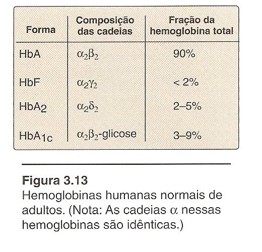 Hemoglobinas humanas normais de adultos