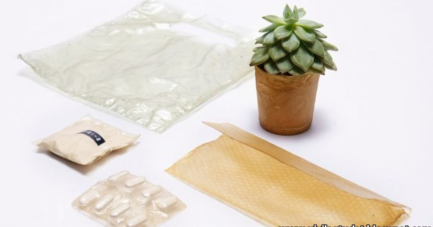 A Shellworks feleslegessé vált homár páncélból készít biológiailag ...