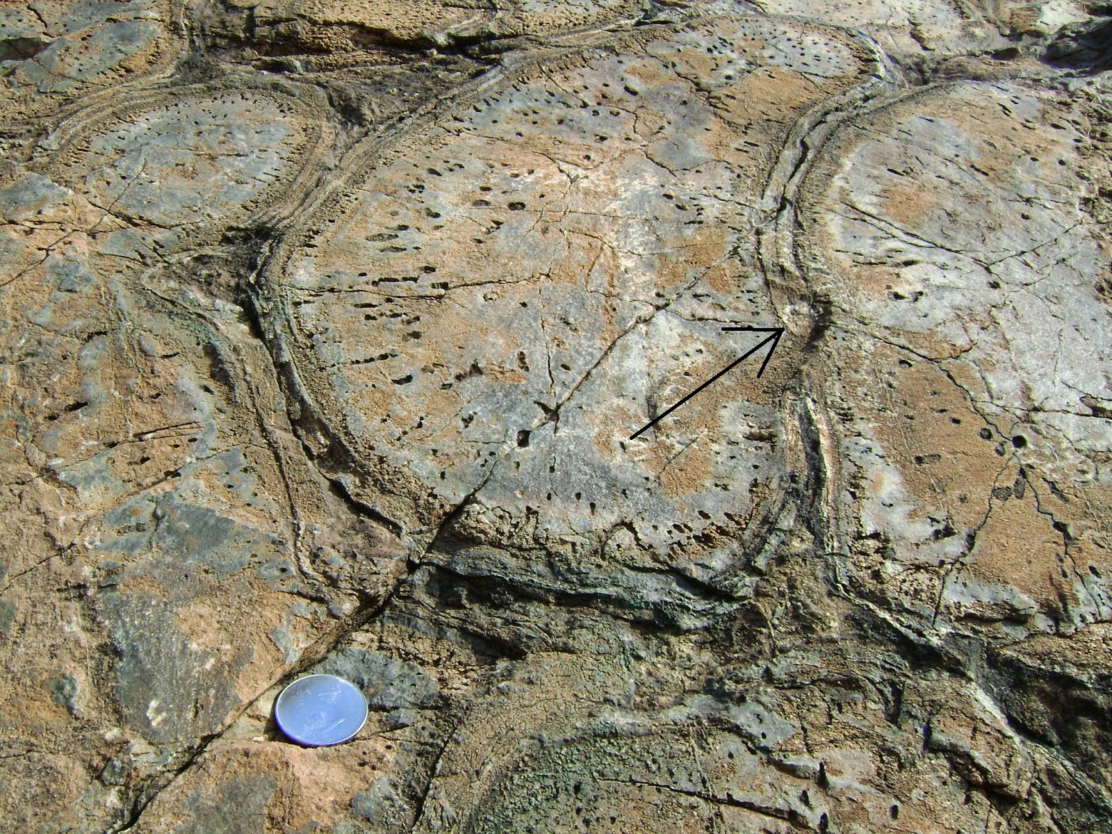 The Churning inside the Earth: Pillow Basalt lava structures of Karnataka