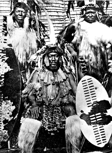 secretarisvogel: “Prince Mbilini”