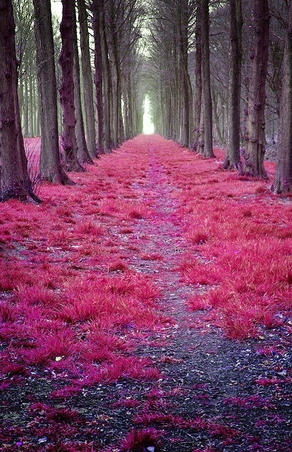 Nature's Best DP Collection For Facebook Profile | coold4facebook ...