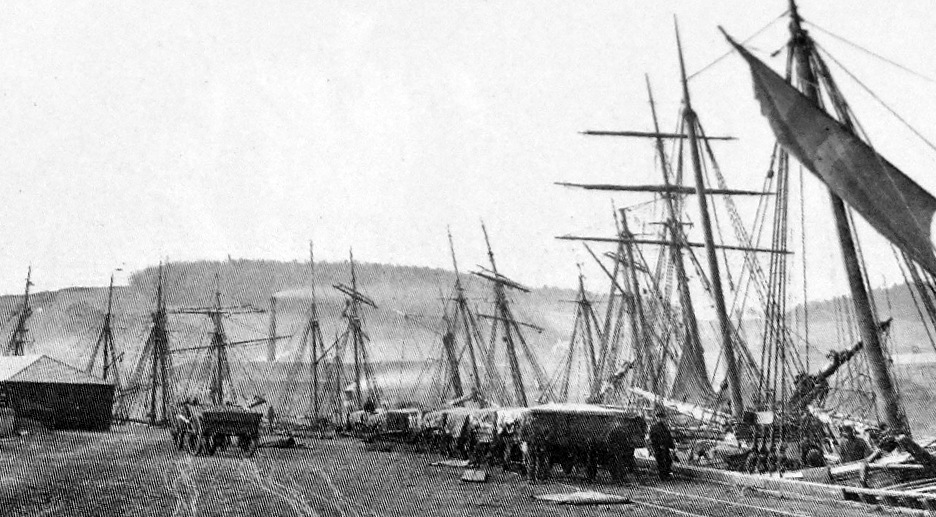 Tour Scotland: Old Photograph Harbour River Tay Perth Perthshire Scotland