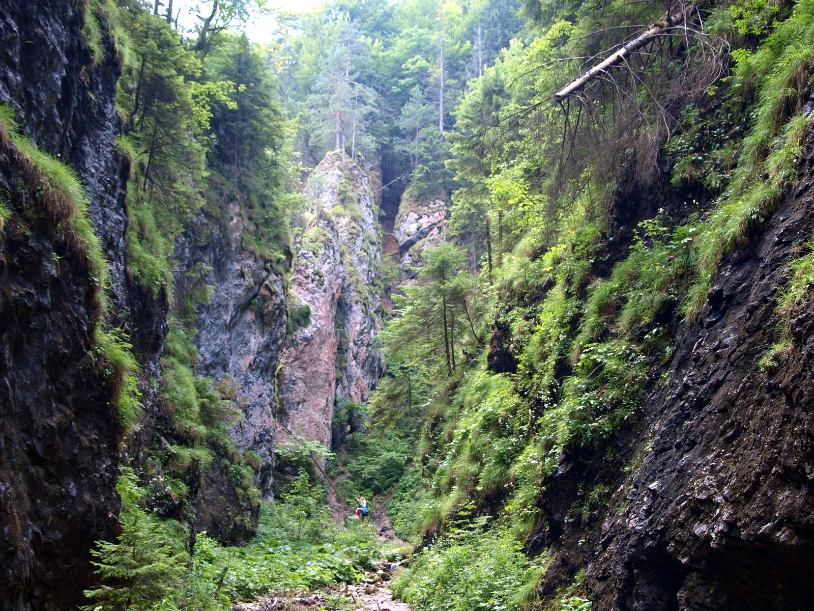 EvaMaria: Jánošíkové diery