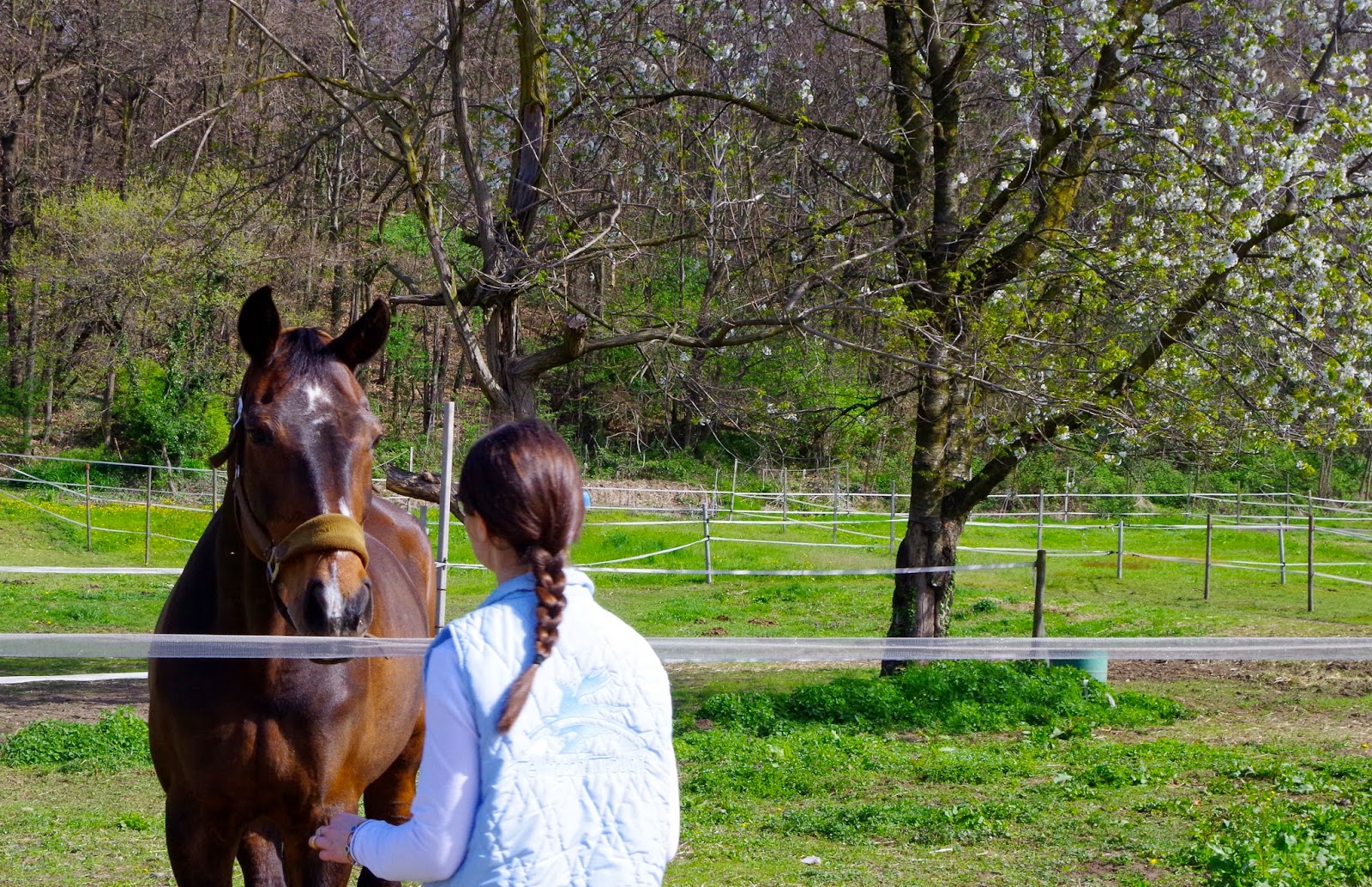 Tacchi a Cavallo: The Touch That Teaches: introduction to the ...
