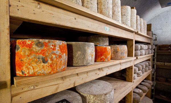 DetodounLolo: Oda al Queso - Ode to Cheese