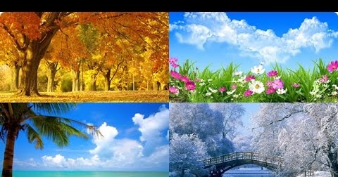 DIARIO DE CLASE: la cuatro estaciones