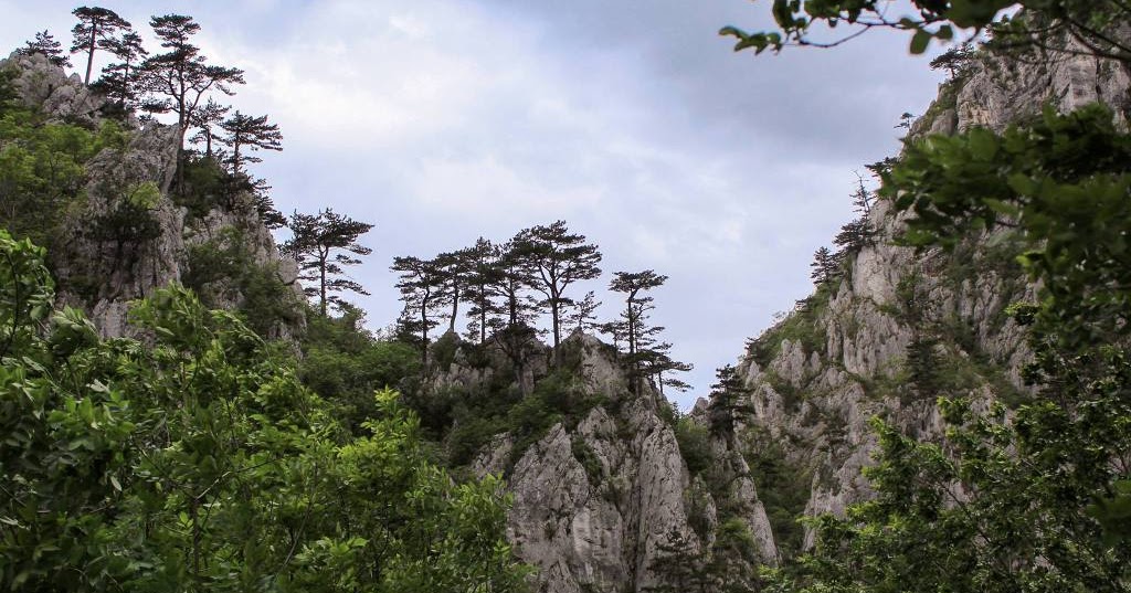 Poveştile mele: Pe fosta granita dintre Austro-Ungaria si Valahia, in ...