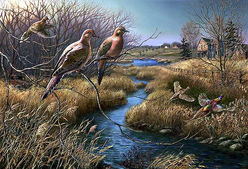 Коллекция картинок: James Meger