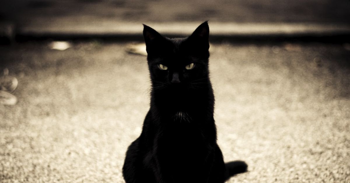 Ritual Nivel 04 - Atar a Tivilio - vampiro