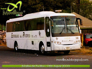 OISA JAGUAR ESTRELLAS DEL PACIFICO