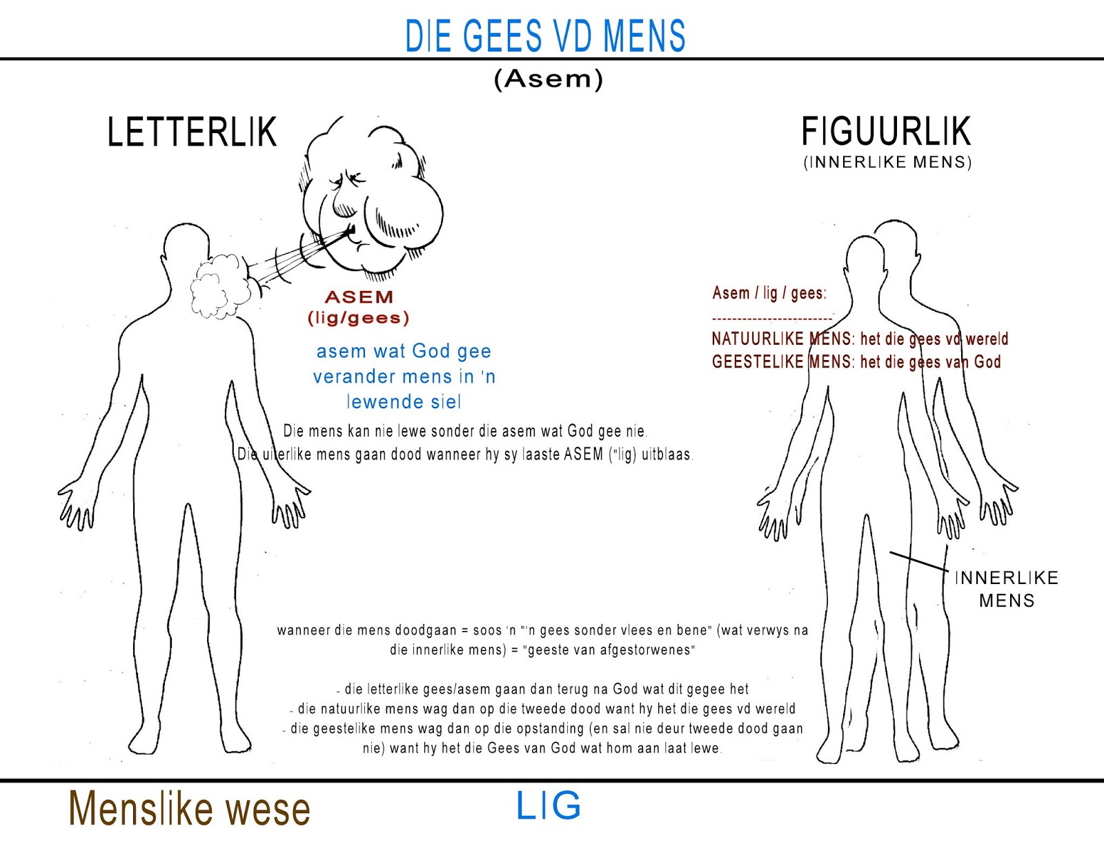 WareChristene Dagstukkies: Liggaam, siel en gees
