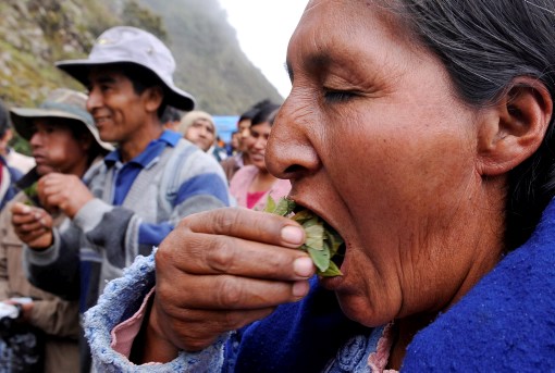 Drogas y adicciones (drugs & addictions): LA COCA Y DERIVADOS