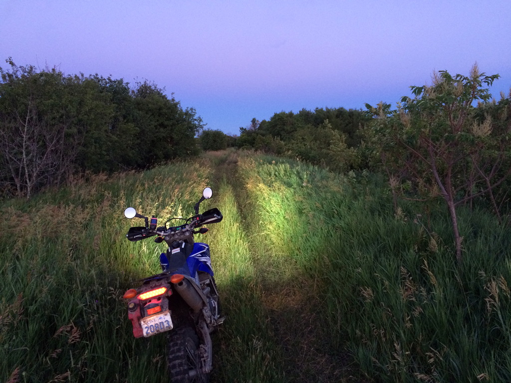 Dualsport Diary: Dual-sport tire review: D606 rear and MT 21 front