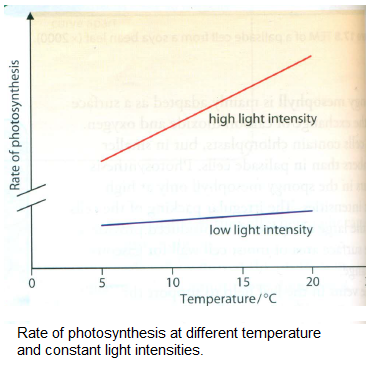 #105 Limiting factors in photosynthesis | Biology Notes for A level