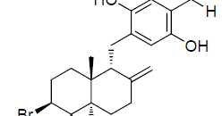 Kimia Organik Sintesis: Reagents and Strategies for the Total Synthesis ...
