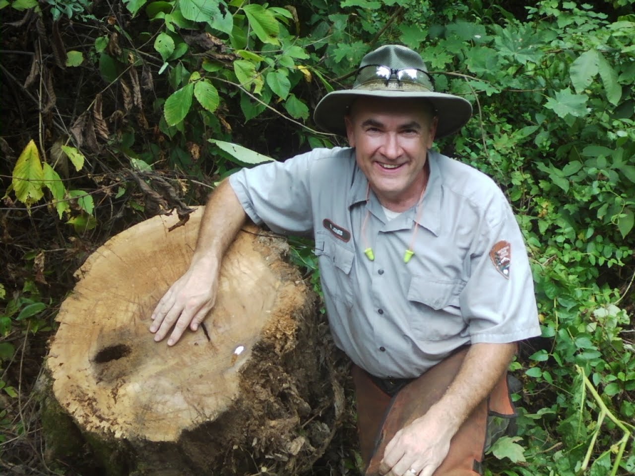Civil War Librarian: News---Fallen Tree Reveals Bullets Fired in July 1863