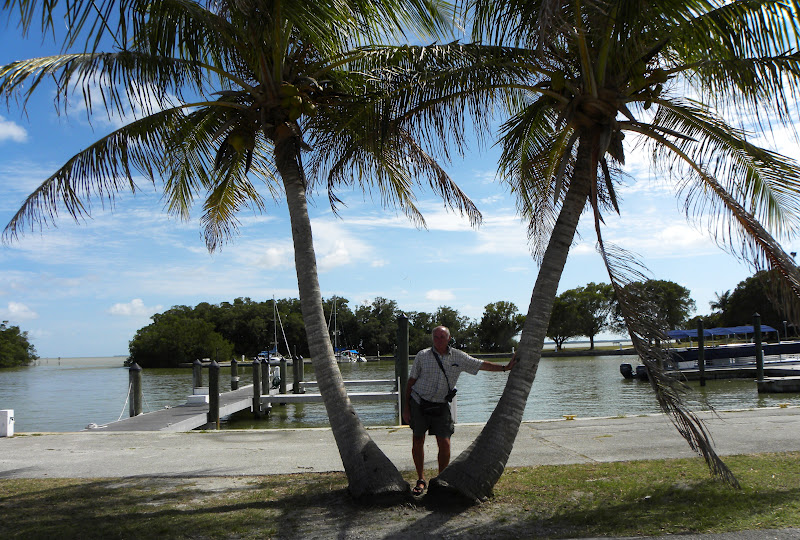 2015 TRAVELS : LONG PINE KEY TO FLAMINGO, EVERGLADES. FLORIDA