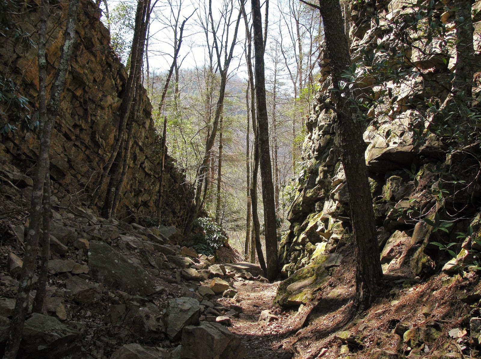 Tales From The Wood Booger: Hammering Nails & Hiking Trails