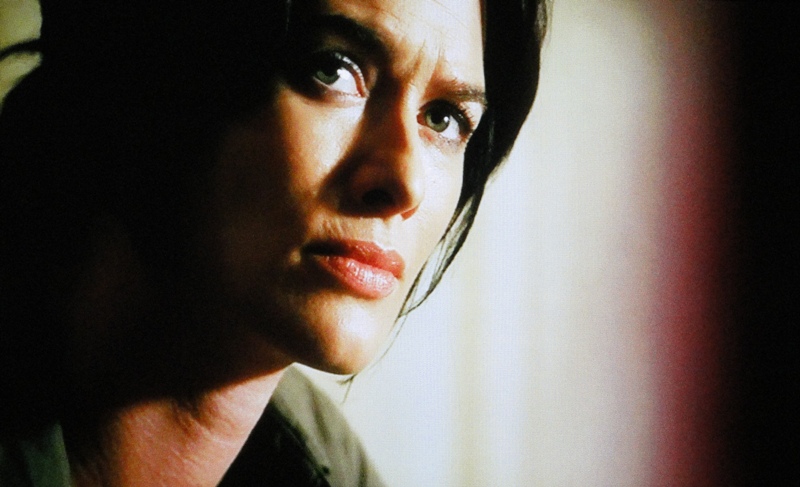 MUSINGS OF A SCI-FI FANATIC: Terminator: The Sarah Connor Chronicles S1 ...