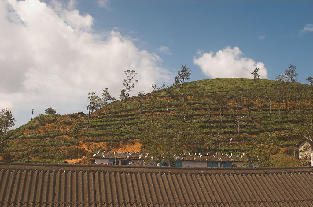 Tamilnadu Tourism: Manjolai Hills, Thirunelveli