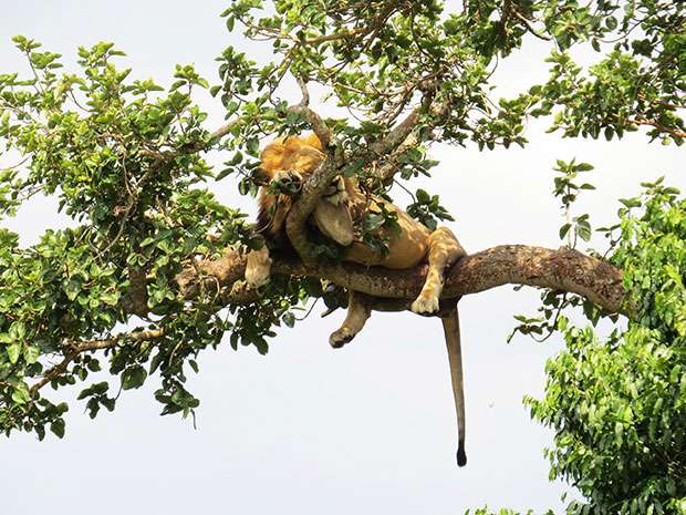 Bunyoro-Kitara (The Empire of Light) Bachwezi