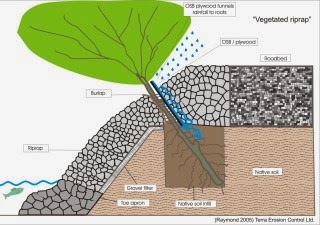 Streamscapes: ΛΙΘΟΡΡΙΠΗ ΕΝΙΣΧΥΜΕΝΗ ΜΕ ΒΛΑΣΤΗΣΗ