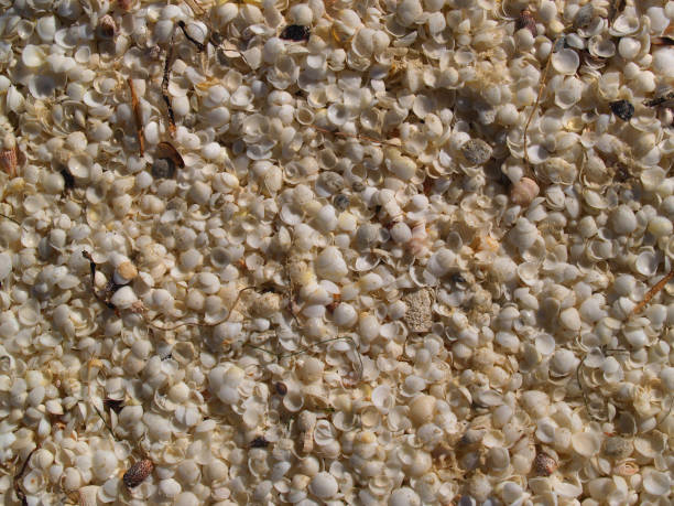 10 Beaches You Thought That Do Not Exist