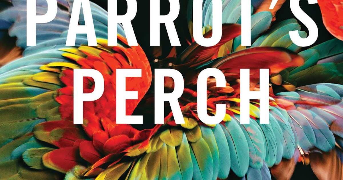 Soul Sciences Memoir Karen Keilt The Parrots Perch Healing After