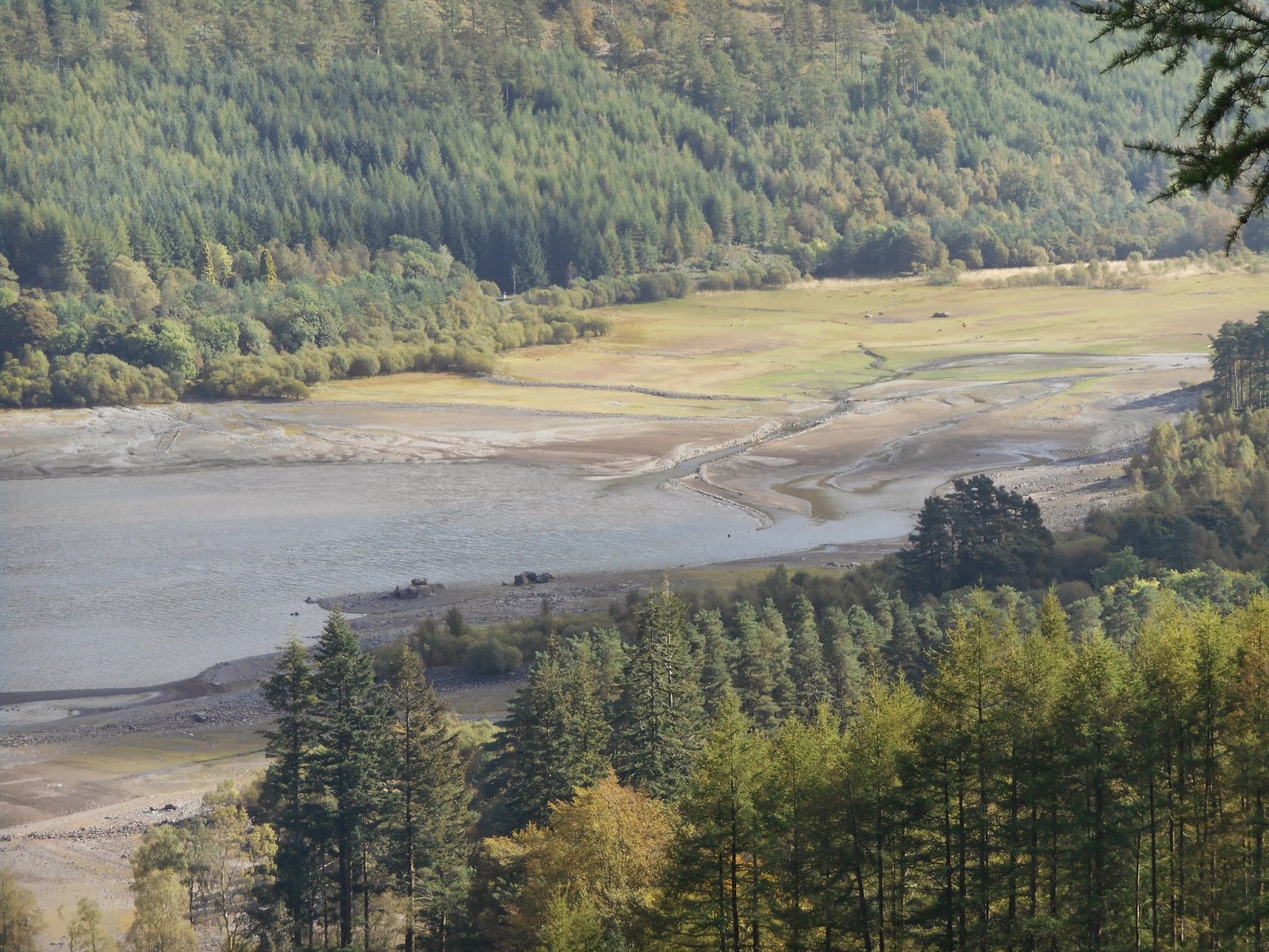 Nature Notes and Observations: Harrop Tarn and Thirlmere
