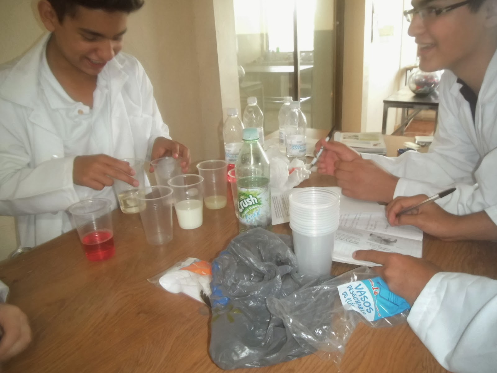 Información para Padres de familia Instituto ICADES: LABORATORIO 3ERO ...