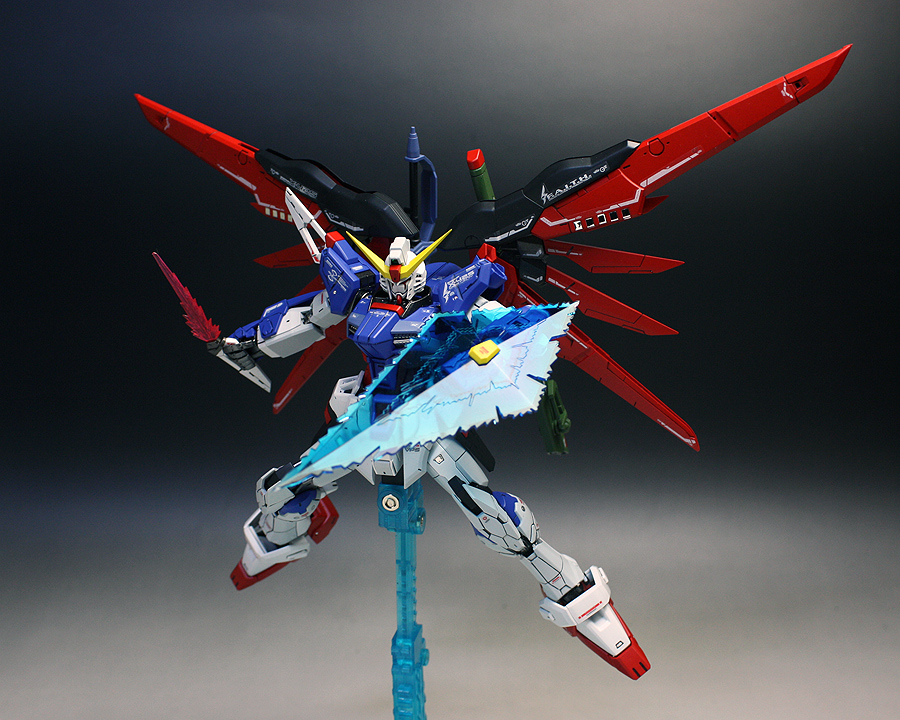 Build and Shoot: RG DESTINY GUNDAM: CUSTOM BUILD