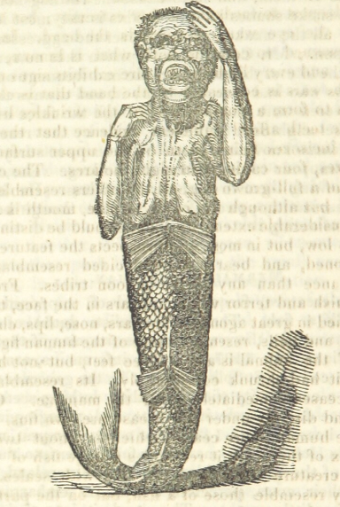 Real Mermaid Sightings: Exhibition of a Merman.