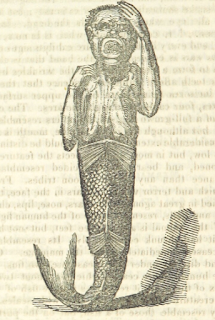 Real Mermaid Sightings: Exhibition of a Merman.