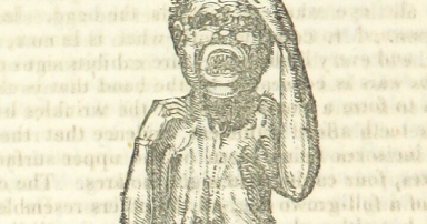 Real Mermaid Sightings: Exhibition of a Merman.