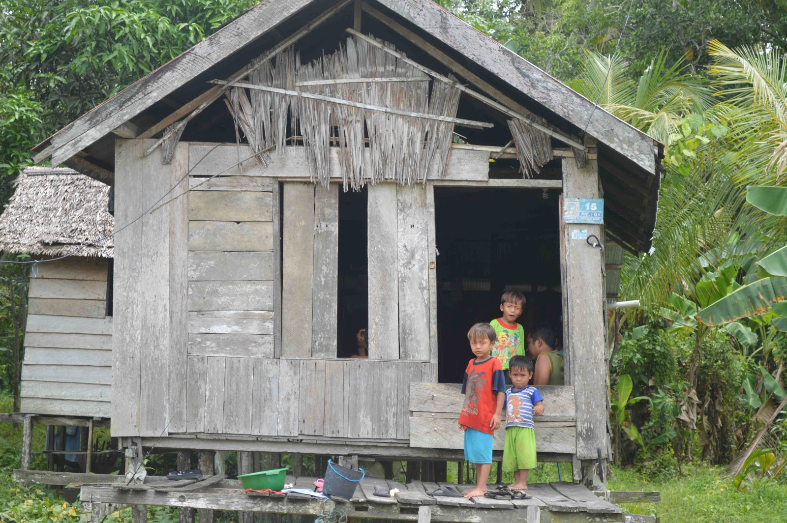 Celoteh Senny: Si Miskin dari Tepi Hutan Kalimantan