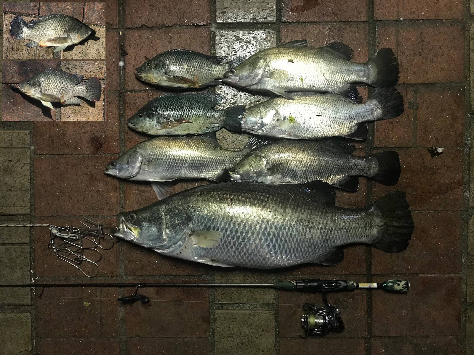 Factor-Six Fishing Blog