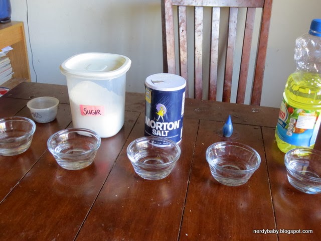 Dissolving Sugar In Water Experiment