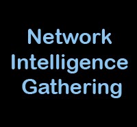 Cybersecurity Blog: Network Intelligence Gathering