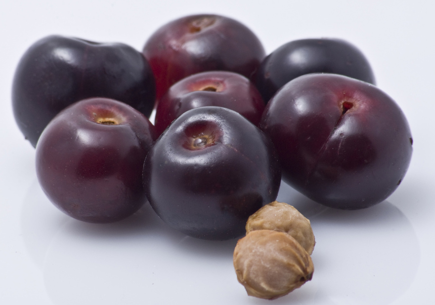 Naturaleza Viva: Capuli (Prunus serotina)