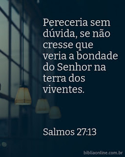 PALAVRA DE HOJE: Salmos 27:13