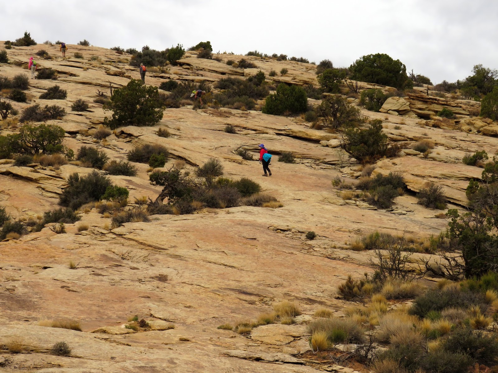 Around the Bend Friends ®: Procession, Wolfman and Sand Island Panels ...