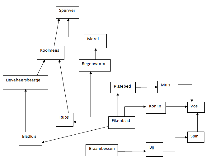 Voedselrelaties: Voedselketen