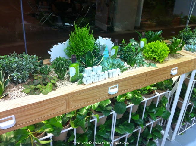 rebelheartx: Innisfree Singapore Haul: New Store at Bugis Junction!